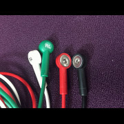 Physio Control 12 Lead ECG Trunk Cable Lifepak 12 & Lifepak 15 11111 ...