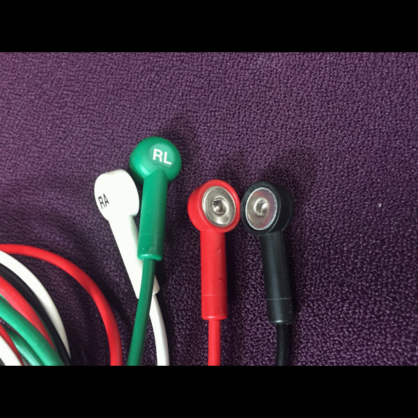 Stryker Physio Control 12 Lead ECG Trunk Cable with AHA Limb Leads ...